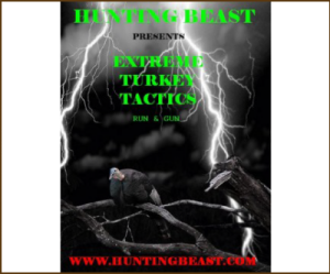 Treestand Strategies and Tactics by Dan Infalt - The Hunting Beast