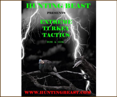 Treestand Strategies and Tactics by Dan Infalt - The Hunting Beast