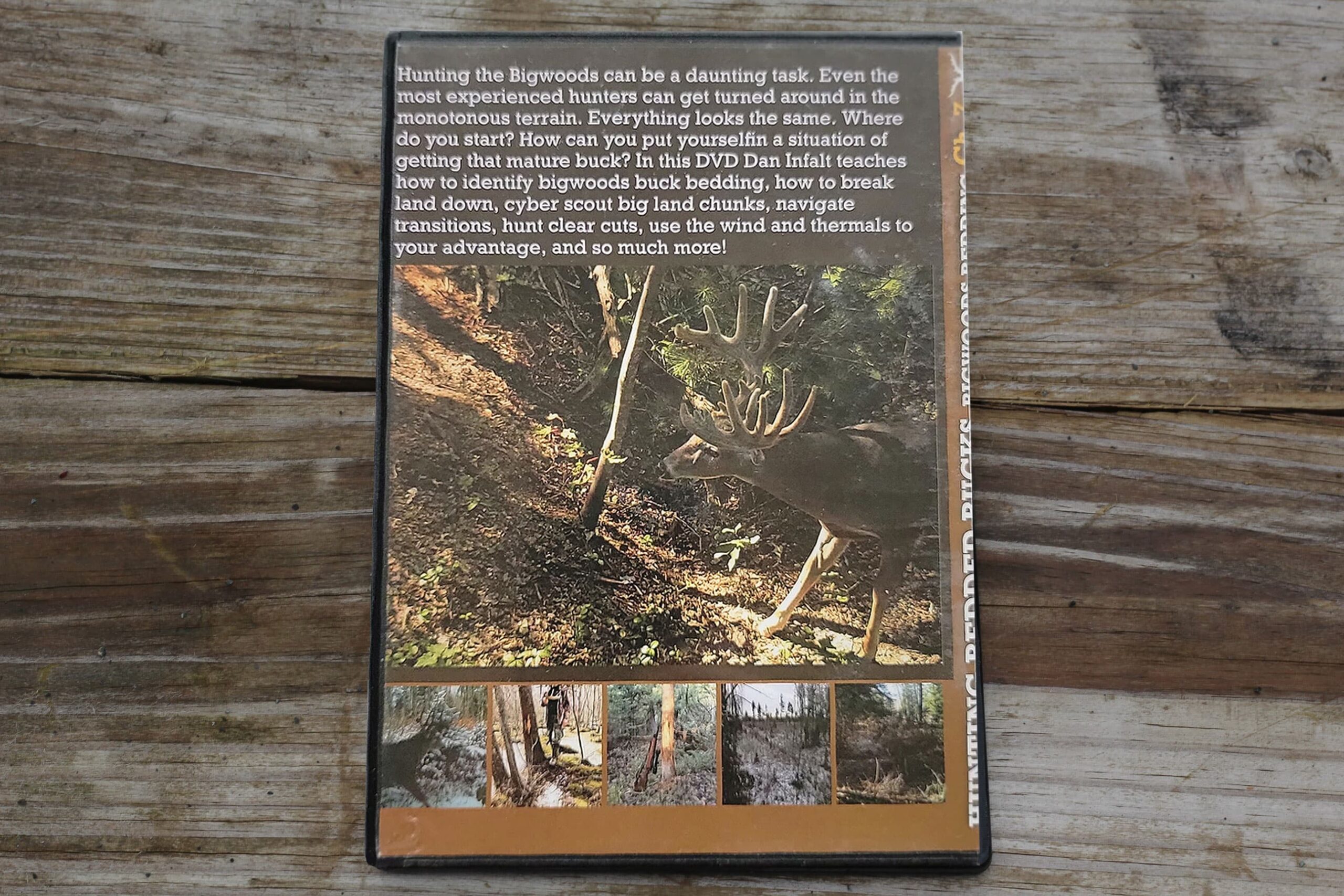 Hunting Beast Bigwoods Bedding DVD - Hunting Beast